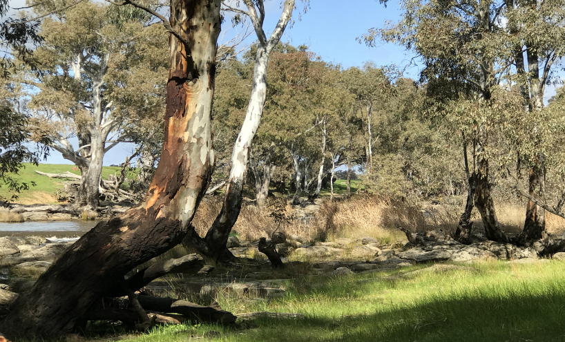 Victorian Aboriginal Heritage Council | Victorian Aboriginal Heritage ...