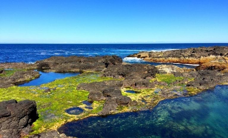 Victorian Aboriginal Heritage Council | aboriginalheritagecouncil.vic ...